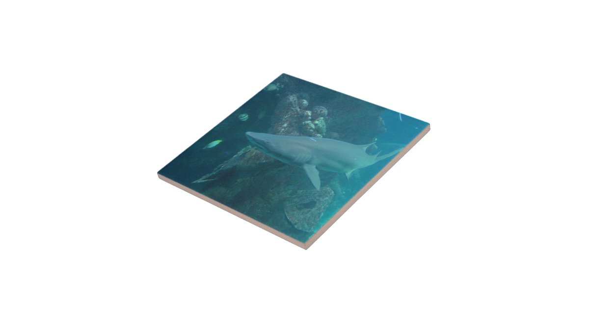 Shark Tile | Zazzle