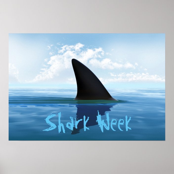 Shark Week Poster | Zazzle.com