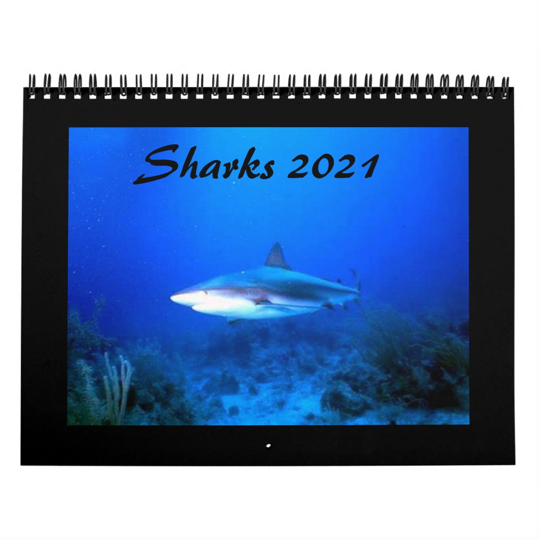 Sharks Calendar 2021 | Zazzle