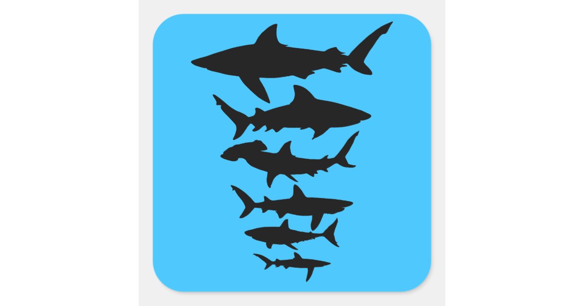 Sharks Color Silhouette Outline Graphic Design Square Sticker | Zazzle