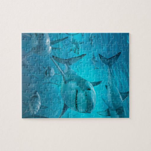 Sharks Jigsaw Puzzle | Zazzle