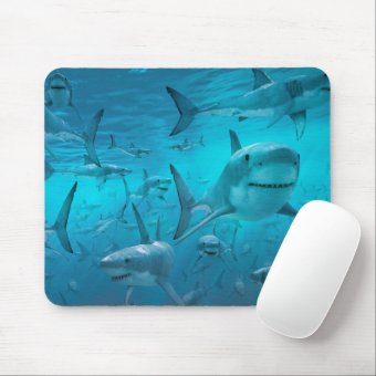 Sharks Mouse Pad | Zazzle