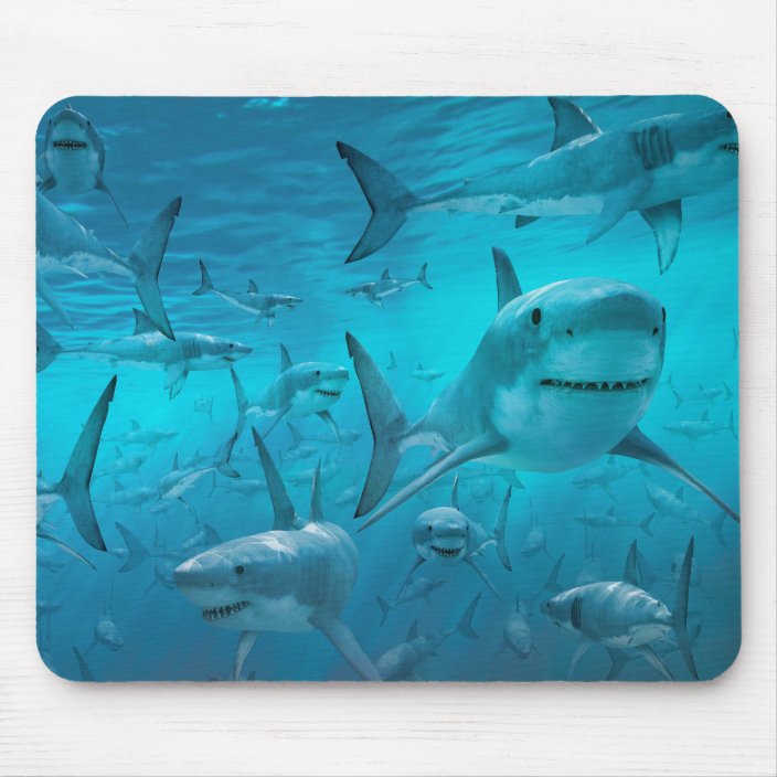 Sharks Mouse Pad | Zazzle.com