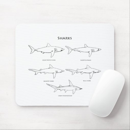 Sharks Species Logo Mouse Pad | Zazzle