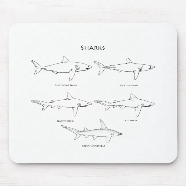 Sharks Species Logo Mouse Pad | Zazzle