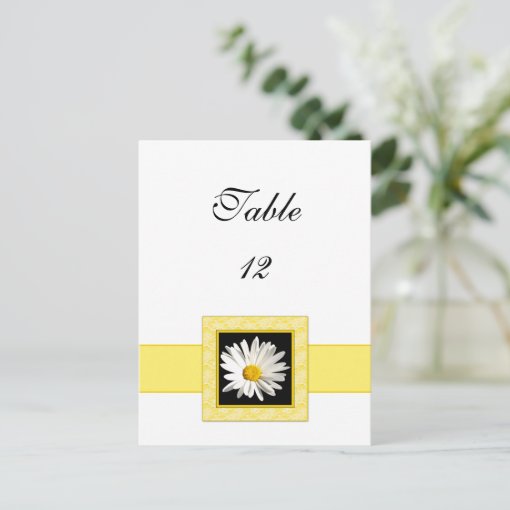 Shasta Daisy Table Number Postcard | Zazzle