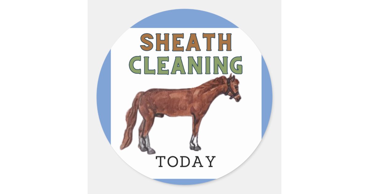 sheath cleaning today sticker | Zazzle