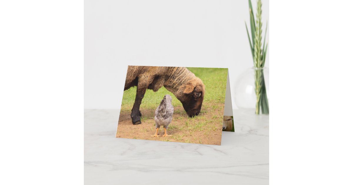 Sheep And Chicken Dear Friends Birthday Card | Zazzle