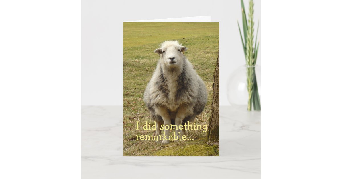 Sheep Birthday Card | Zazzle