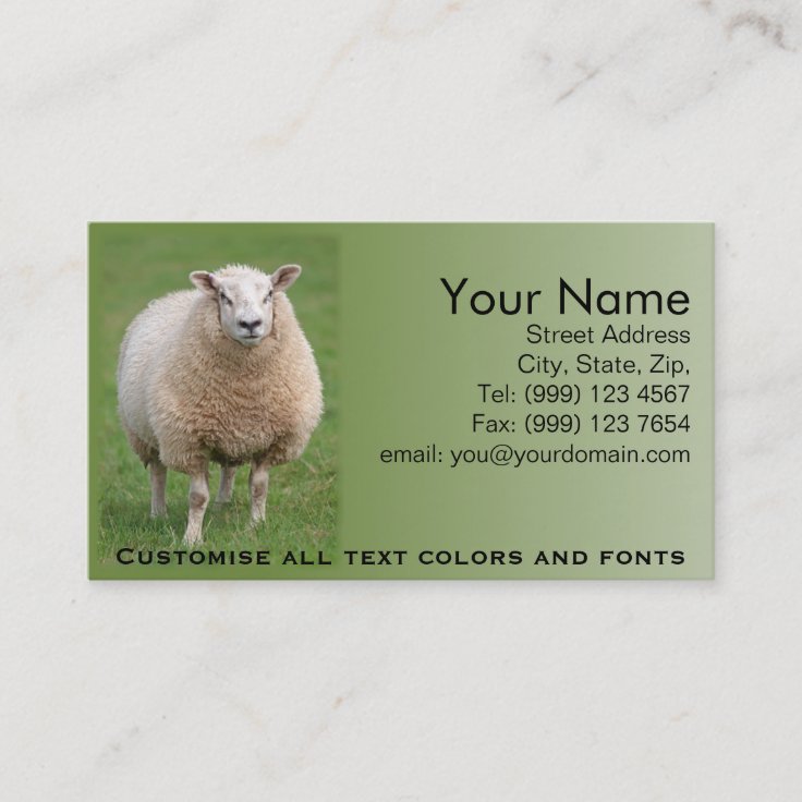 Sheep Business Card | Zazzle
