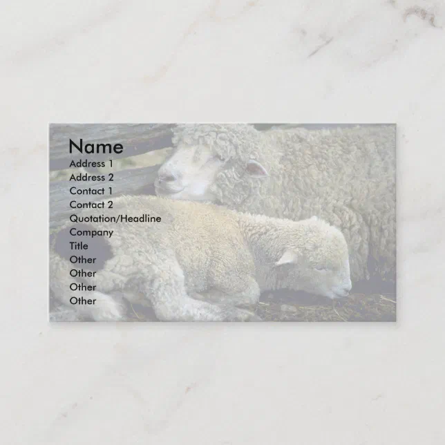 Sheep Business Card | Zazzle
