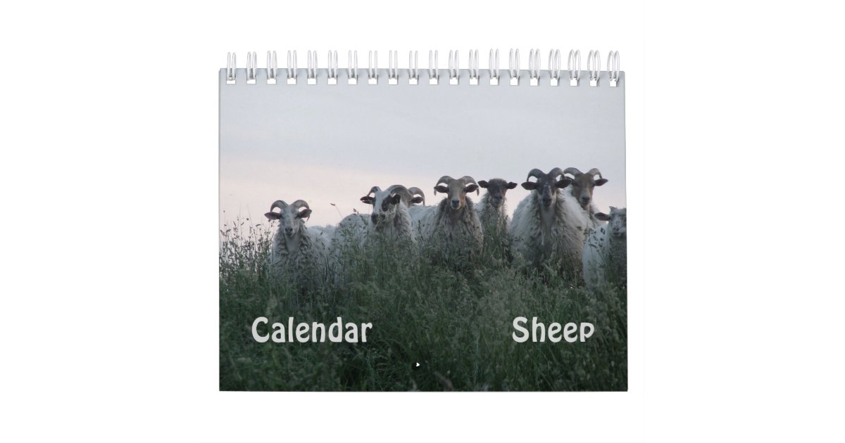 Sheep Calendar | Zazzle