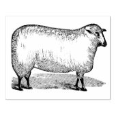 Sheep Facing Right Vintage Rubber Art Stamp | Zazzle