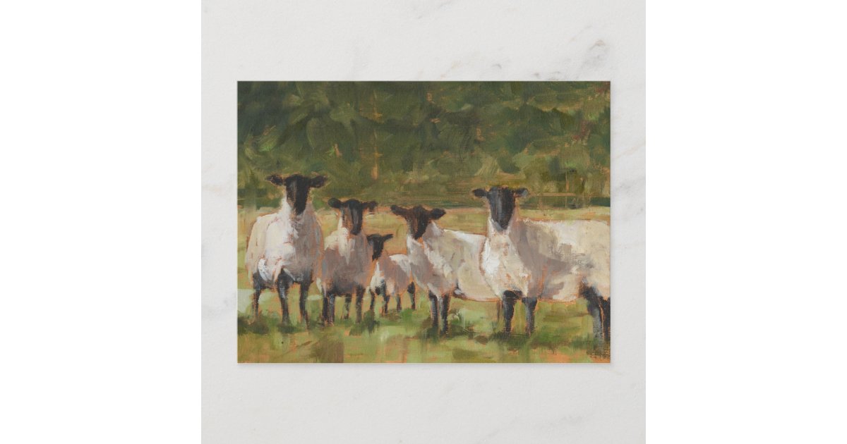 Sheep Family Postcard | Zazzle