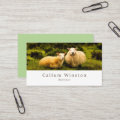 Sheep, Farmer & Butcher Business Card | Zazzle