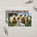 Sheep Flock Sheep Herd Baby Lamb Business Card | Zazzle