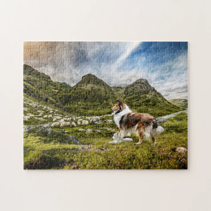 Sheep Herding Mahogany Sable Rough Collie - Jigsaw Puzzle | Zazzle