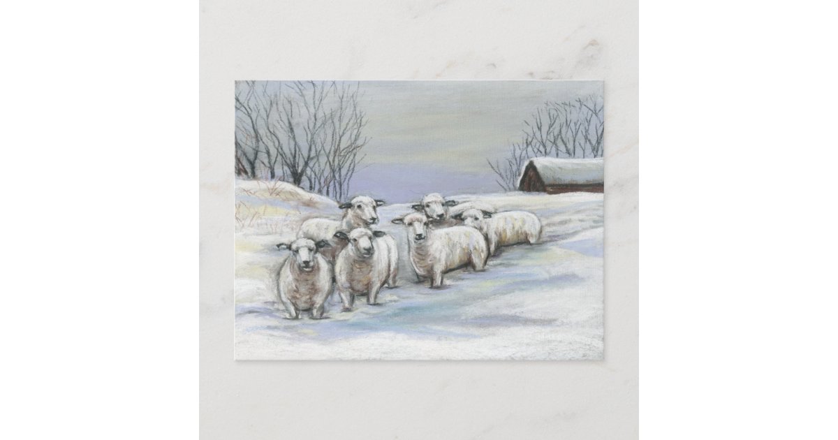 Sheep in the Snow Art Postcard | Zazzle