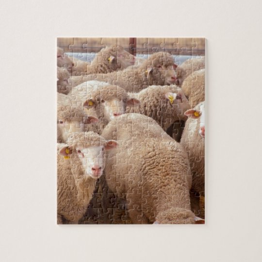 Sheep Jigsaw Puzzle | Zazzle.com