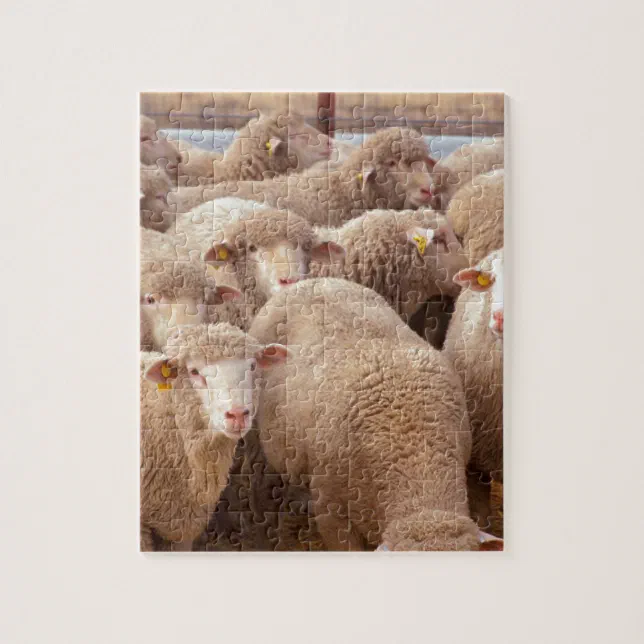 Sheep Jigsaw Puzzle | Zazzle
