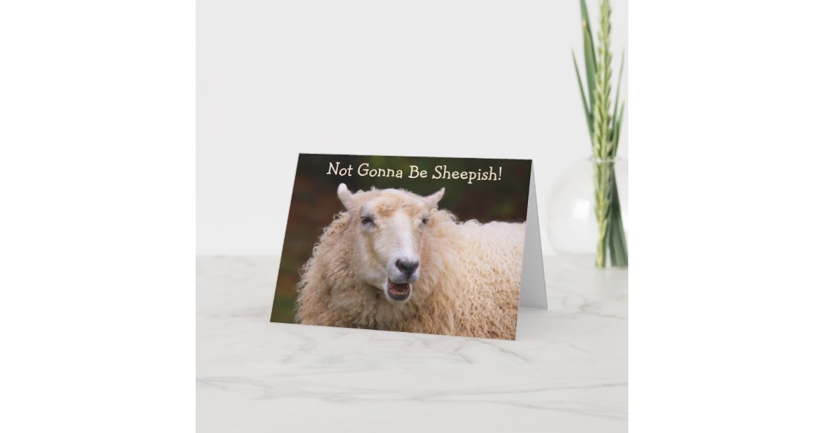 Sheep Joke Pun Birthday Card Zazzle