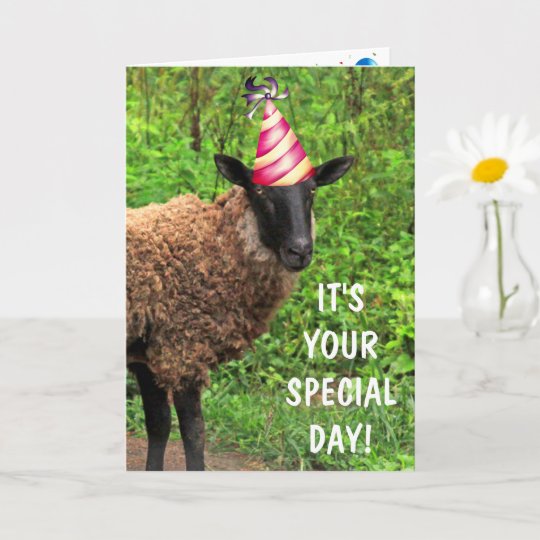 Sheep Joke Pun Birthday Card | Zazzle.com