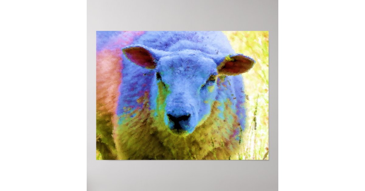 Sheep Poster Zazzle