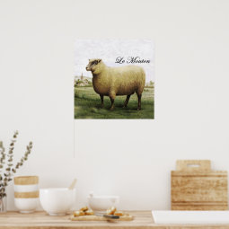 Sheep Poster | Zazzle