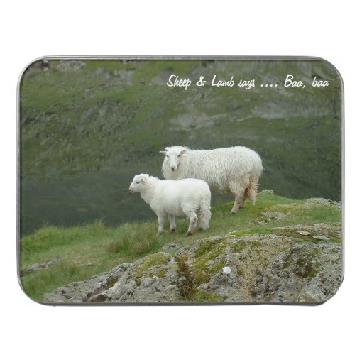 Sheep says: Baa, baa (Scottish & New Zealand) Jigsaw Puzzle | Zazzle