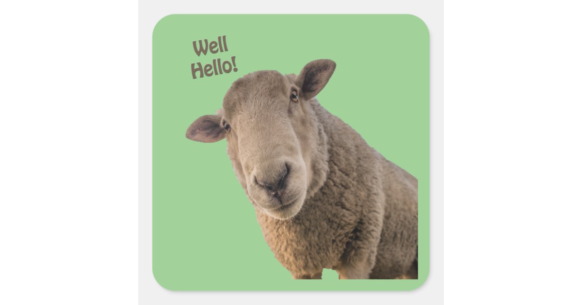 Sheep Square Sticker | Zazzle