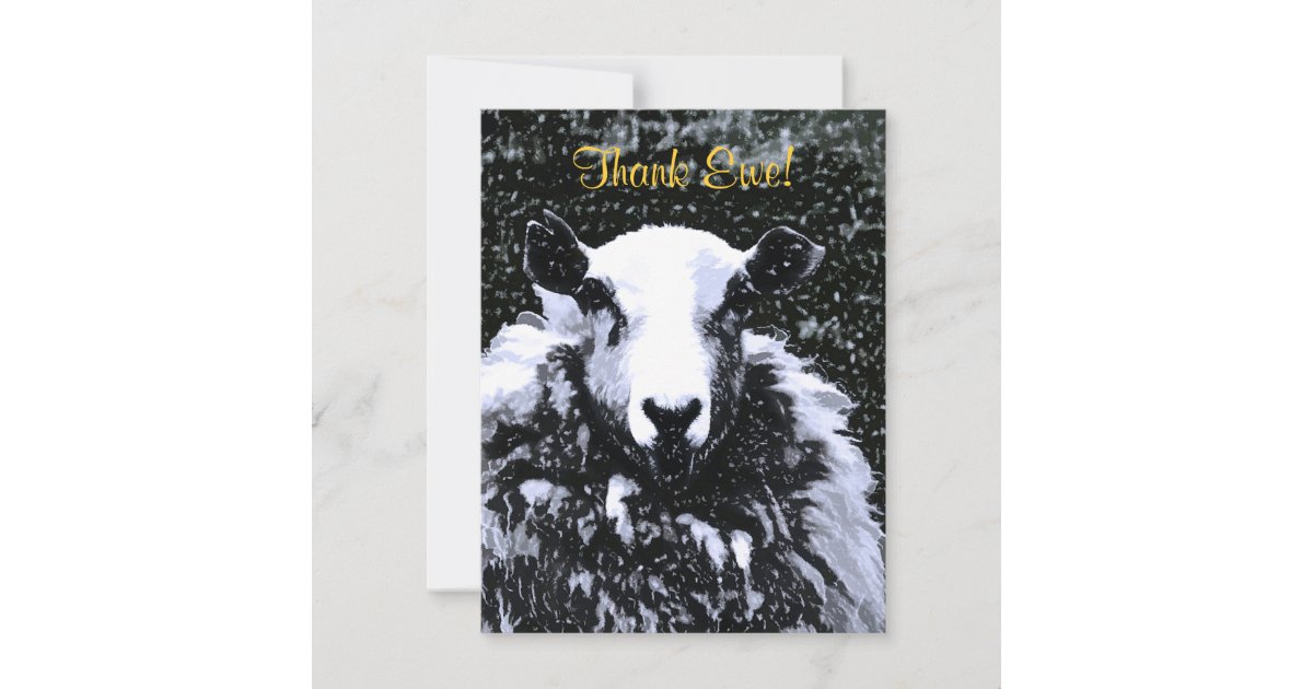 SHEEP THANK YOU CARD | Zazzle
