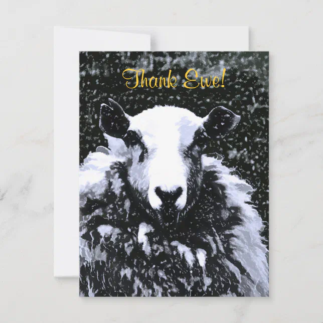 SHEEP THANK YOU CARD | Zazzle