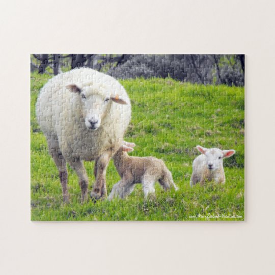 Sheep With Twin Lambs Jigsaw Puzzle | Zazzle.com