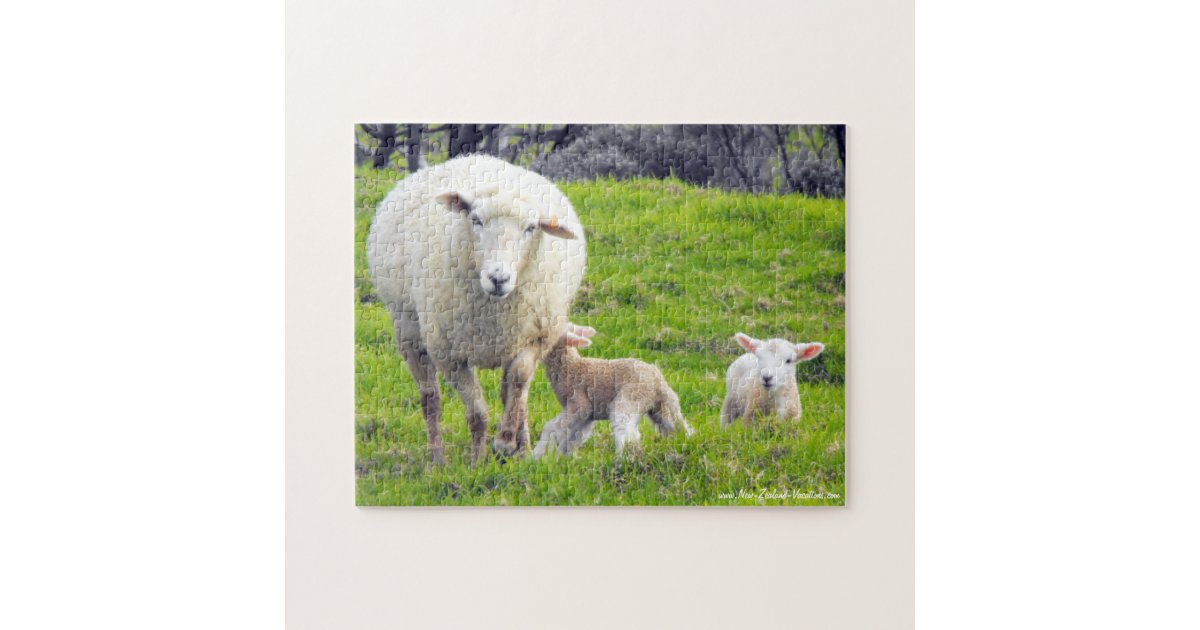 Sheep With Twin Lambs Jigsaw Puzzle | Zazzle