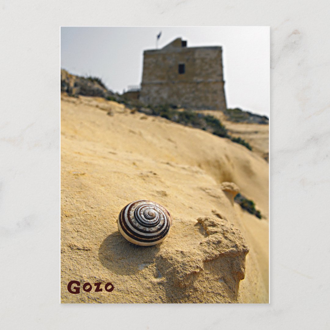 Shell and Tower, Gozo, Malta Postcard | Zazzle