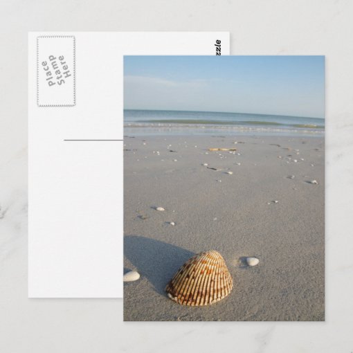 Shell Beach Postcard | Zazzle