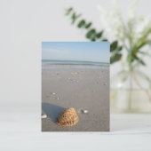 Shell Beach Postcard | Zazzle