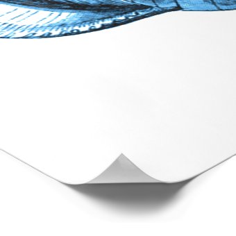 Shell coastal nautical ocean beach sea blue poster | Zazzle