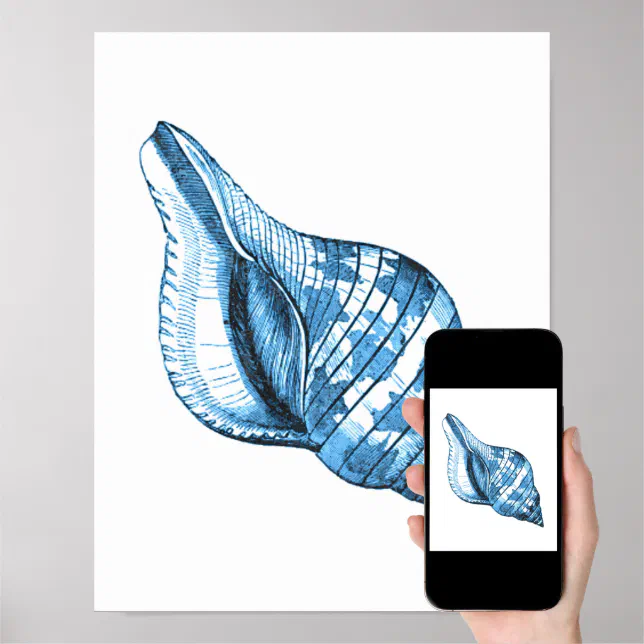 Shell coastal nautical ocean beach sea blue poster | Zazzle