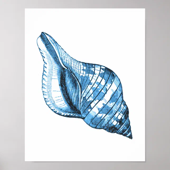 Shell coastal nautical ocean beach sea blue poster | Zazzle