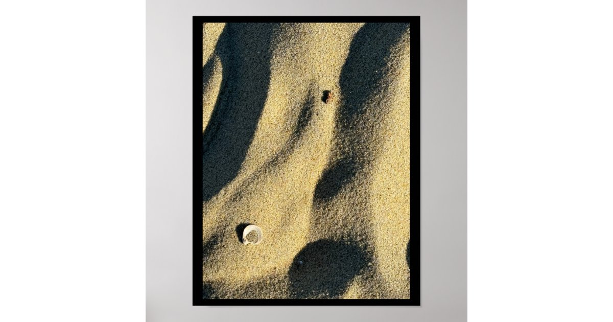 Shell Sand and Shadows Poster | Zazzle