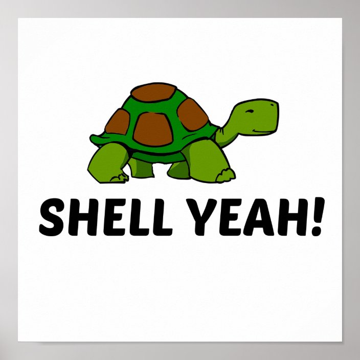 SHELL YEAH TURTLE POSTER | Zazzle.com