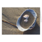 Seashell Tongue Twister Card | Zazzle.com