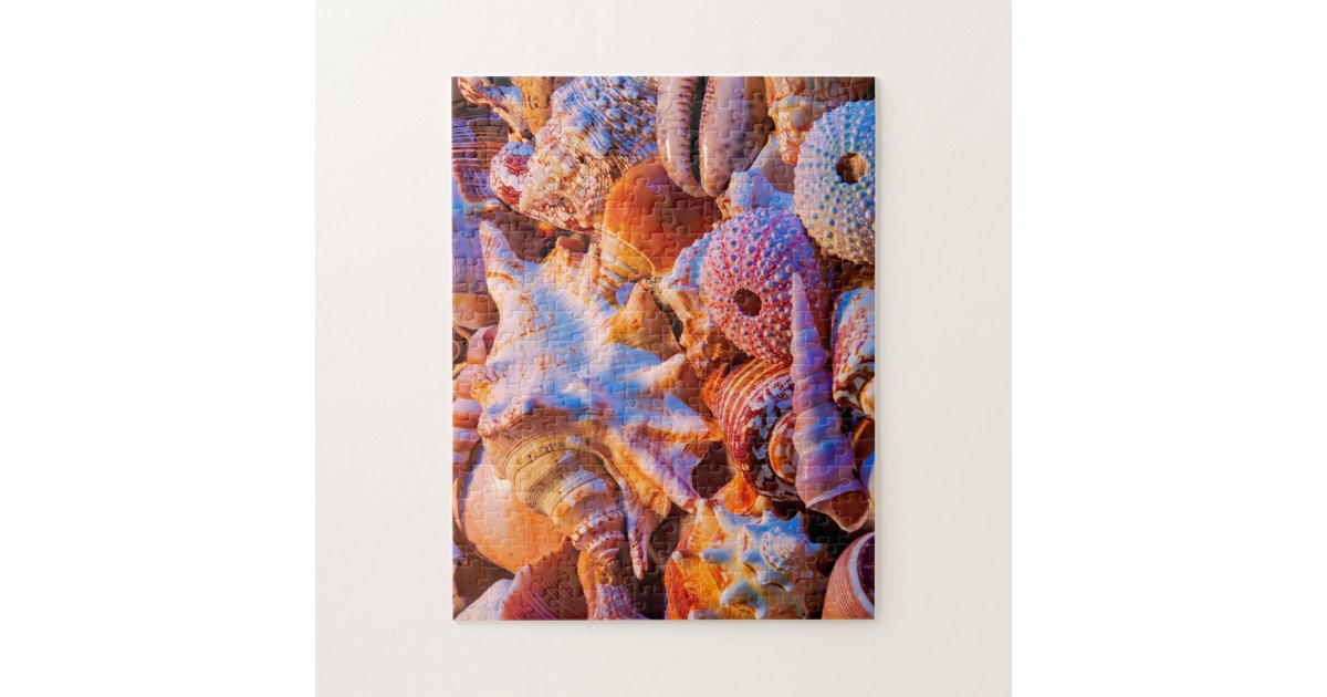 Shells Jigsaw Puzzle | Zazzle