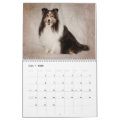 Sheltie Calendar | Zazzle