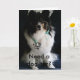 Sheltie Get Well Card | Zazzle
