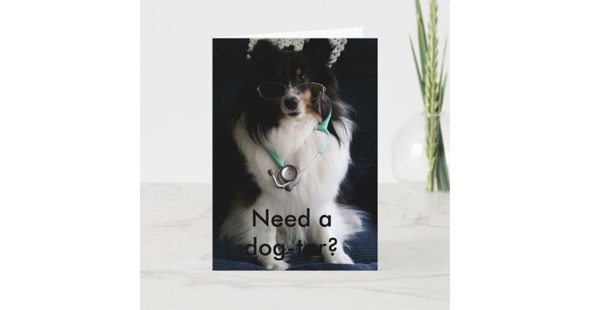Sheltie Get Well Card | Zazzle