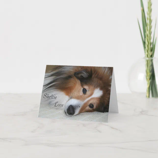 Sheltie Love Card | Zazzle