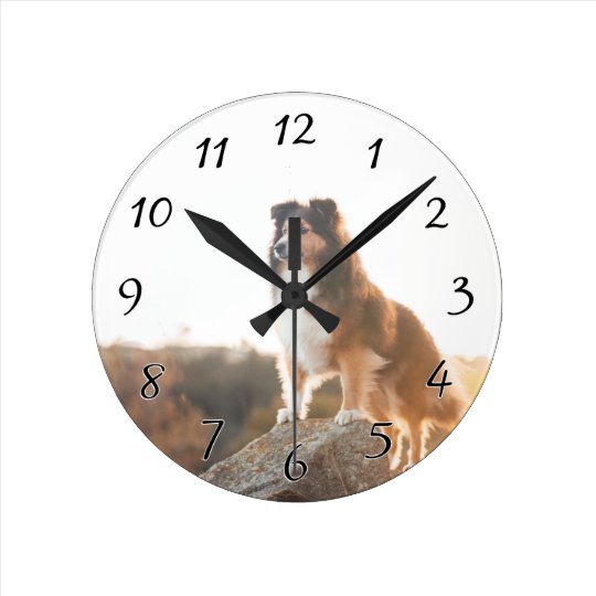 Sheltie on Cliff protectng heard during sunset Round Clock | Zazzle.com