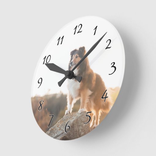 Sheltie on Cliff protectng heard during sunset Round Clock | Zazzle